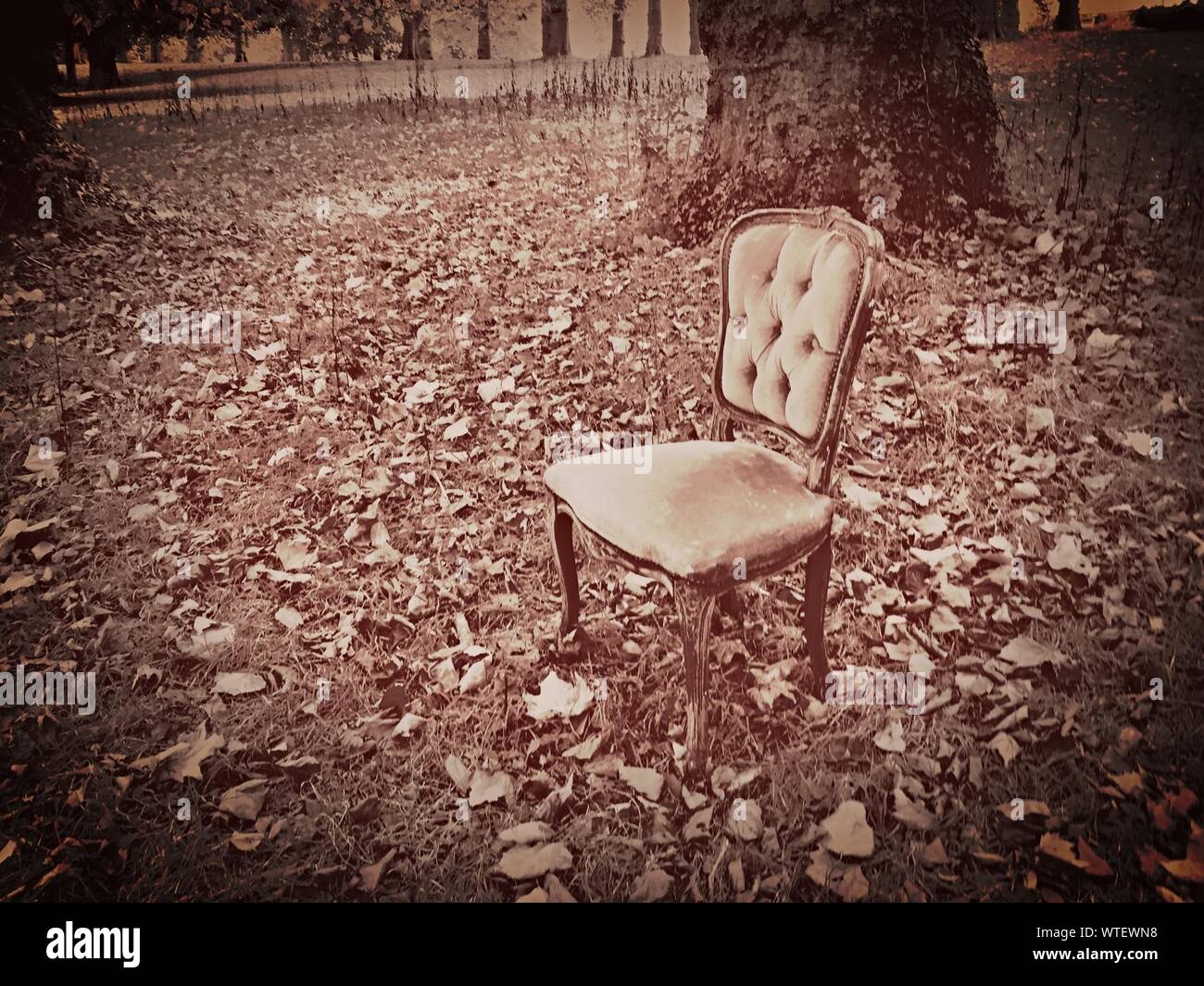 Fallen Chair High Resolution Stock Photography and Images - Alamy