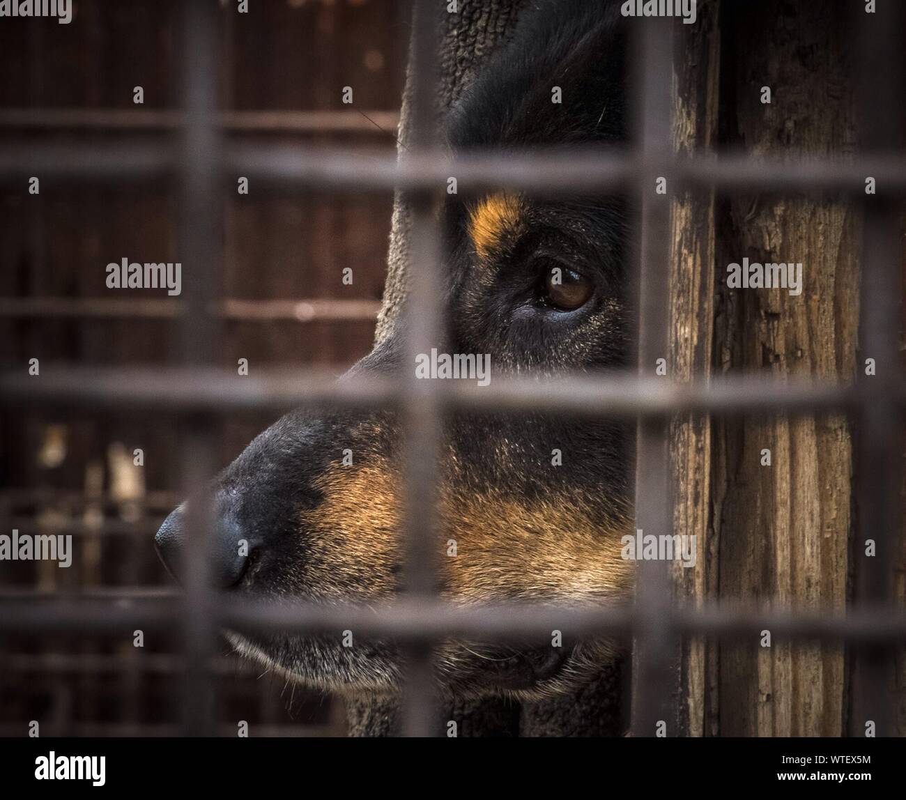 Security bars hi-res stock photography and images - Alamy