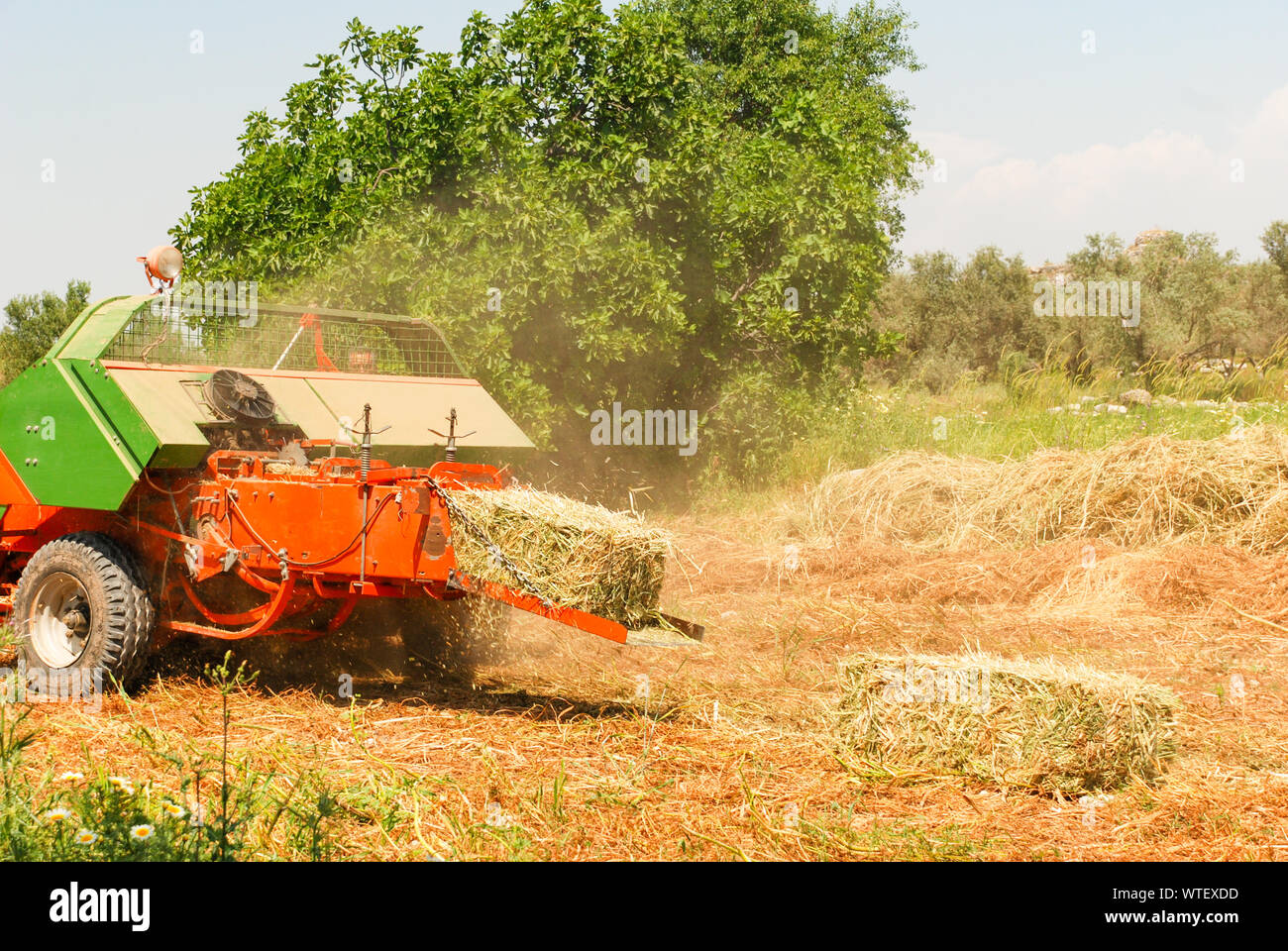 Machine for harvesting form square bales of hay. Agriculture background ...