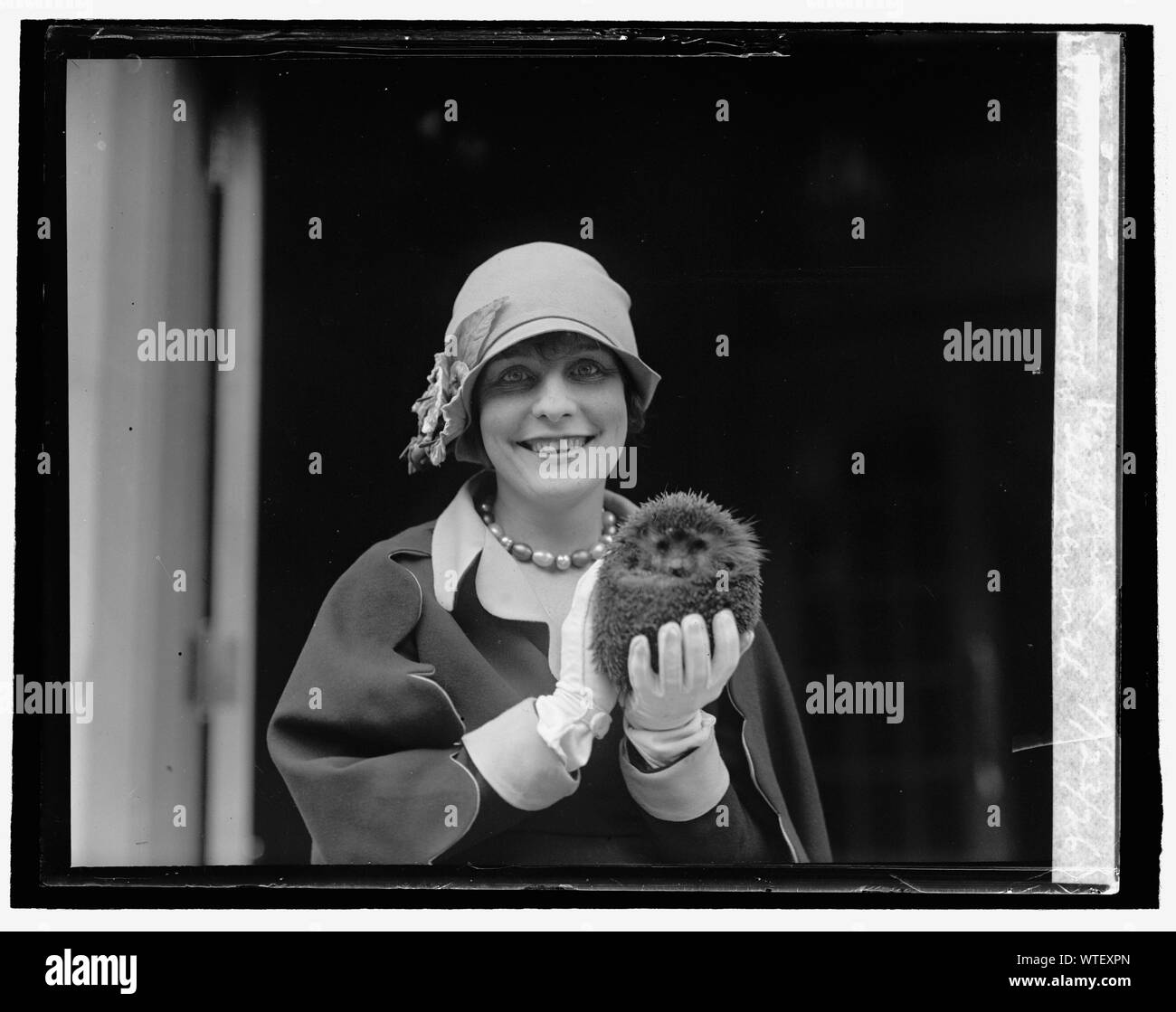 Miss Dorothy Tierney with porcupine, 4/23/26 Stock Photo - Alamy