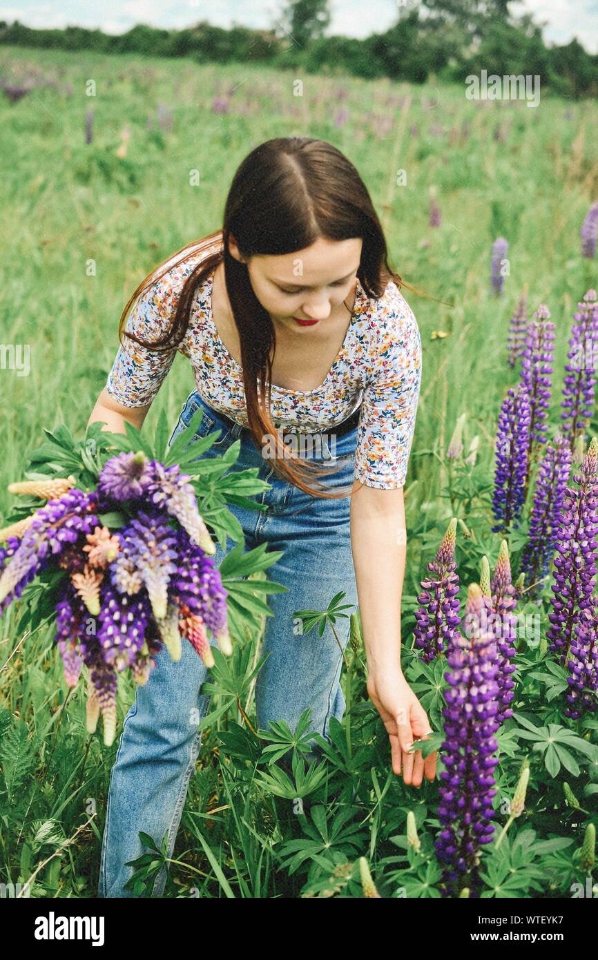 Picking Flowers High Resolution Stock Photography and Images - Alamy