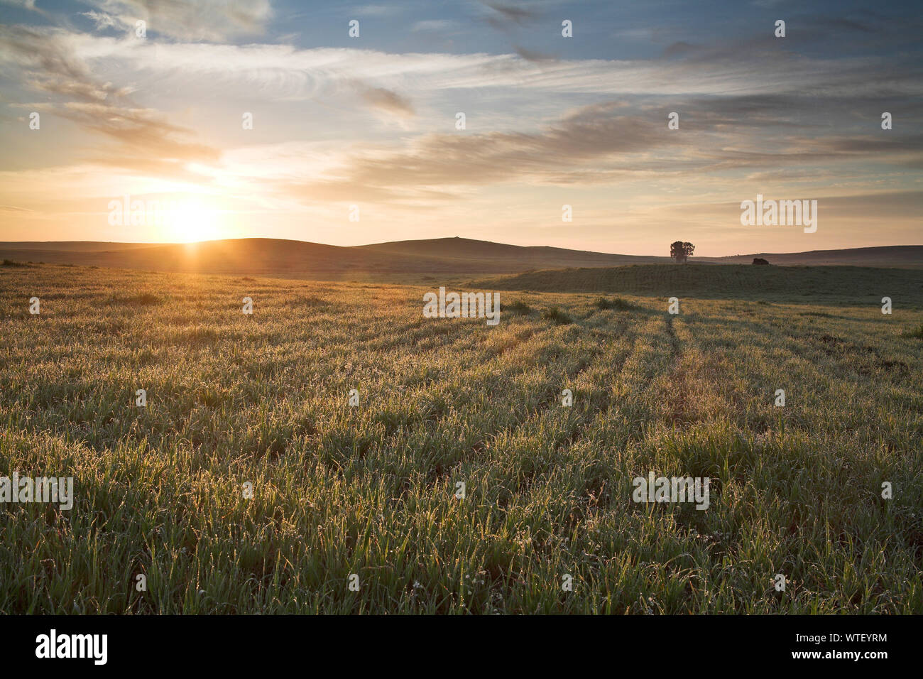 Sunrise over arable fields near Mertola Alentejo Region Portugal Stock Photo - Alamy