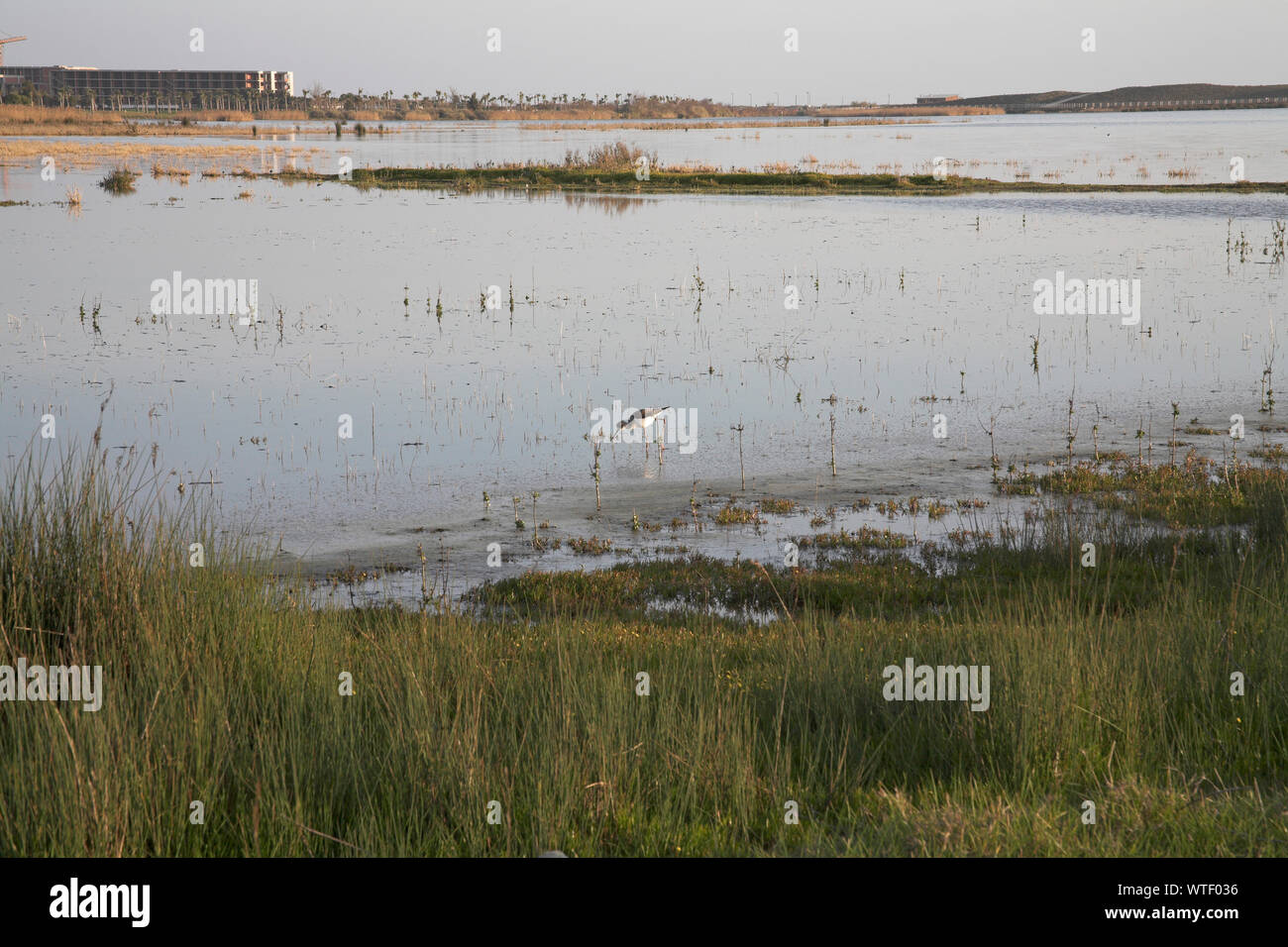 Pera Marsh Algarve Portugal Stock Photo - Alamy