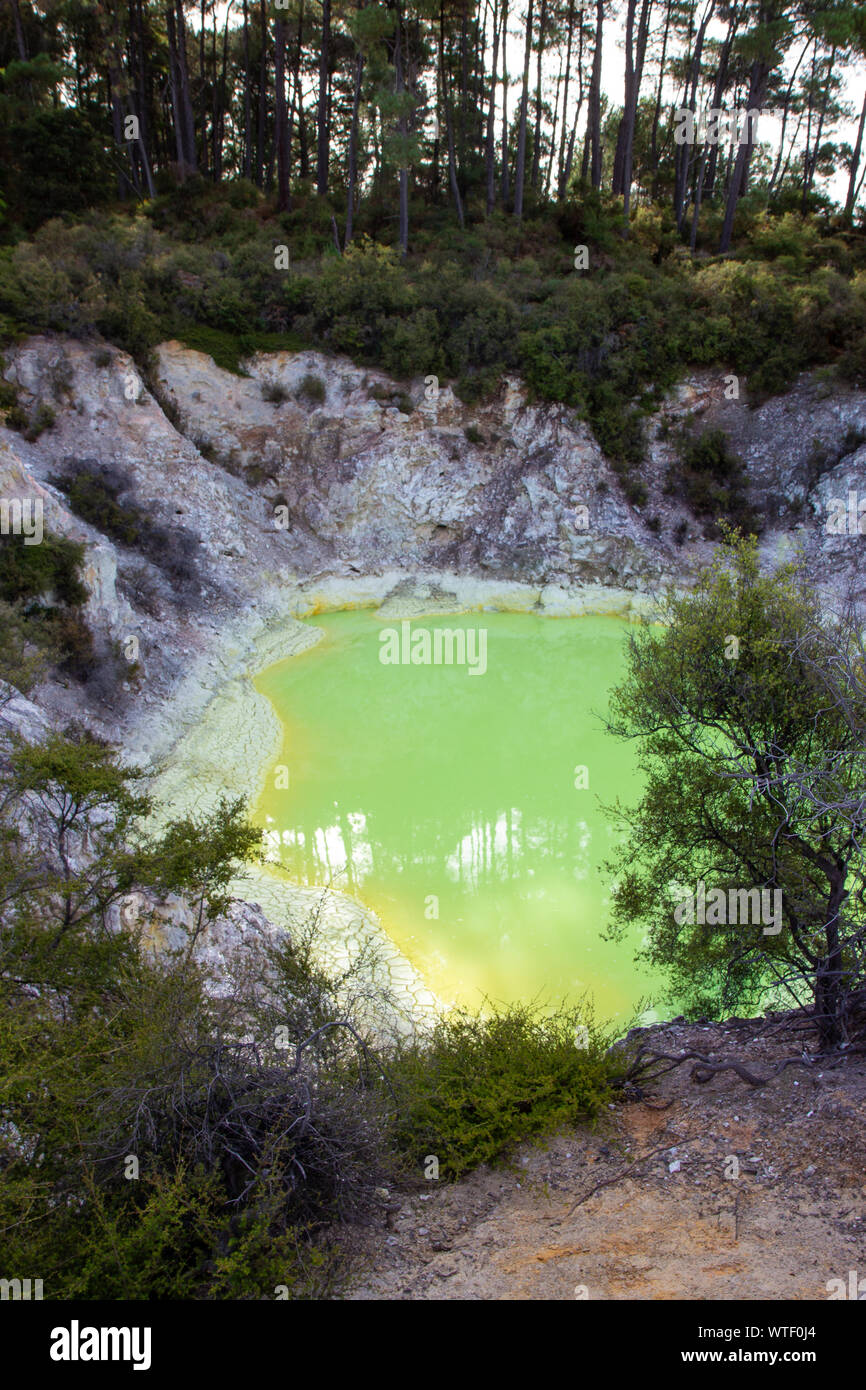 The Devil's Bath at Wai-O-Tapu geothermal area Stock Photo - Alamy