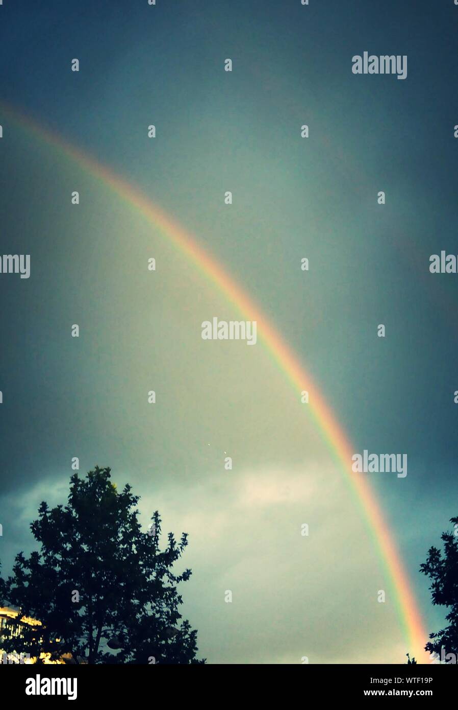 Rainbow over tree hi-res stock photography and images - Alamy