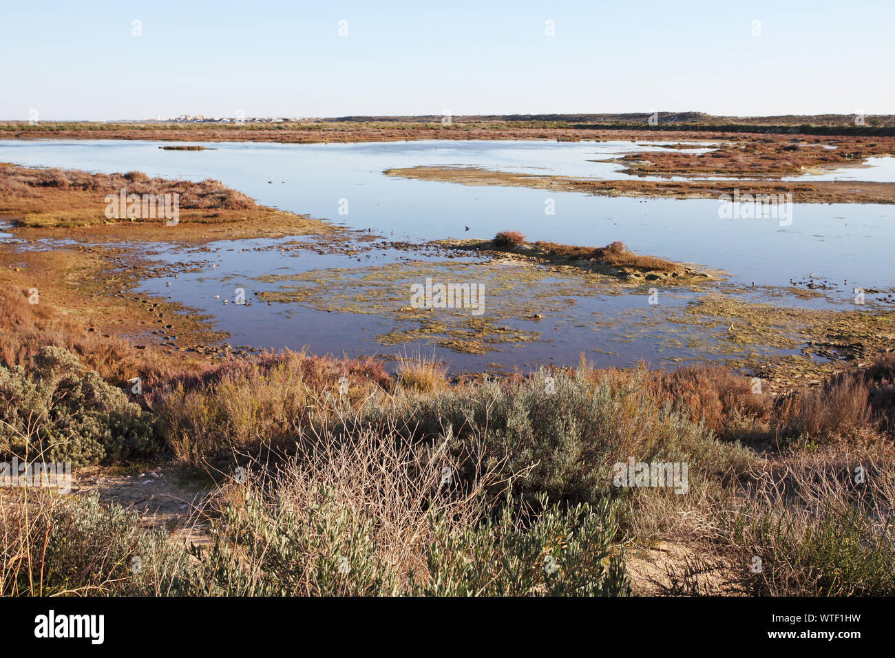 Tidal pools beside the Quinta do Lago Golf Course Ria Formosa National ...