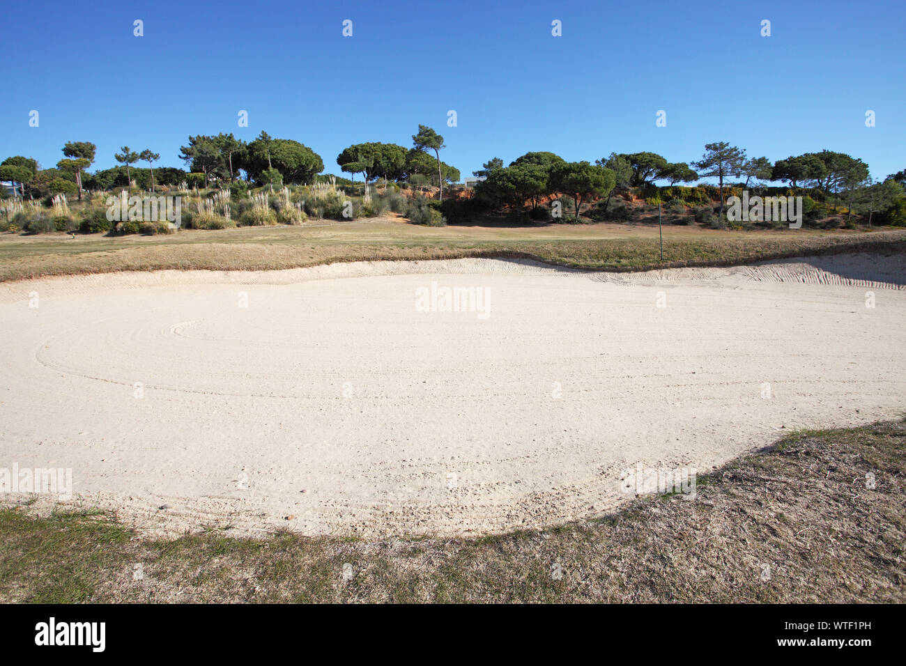Quinta do Lago Golf Course Rio Formosa National Park Algarve Portugal ...