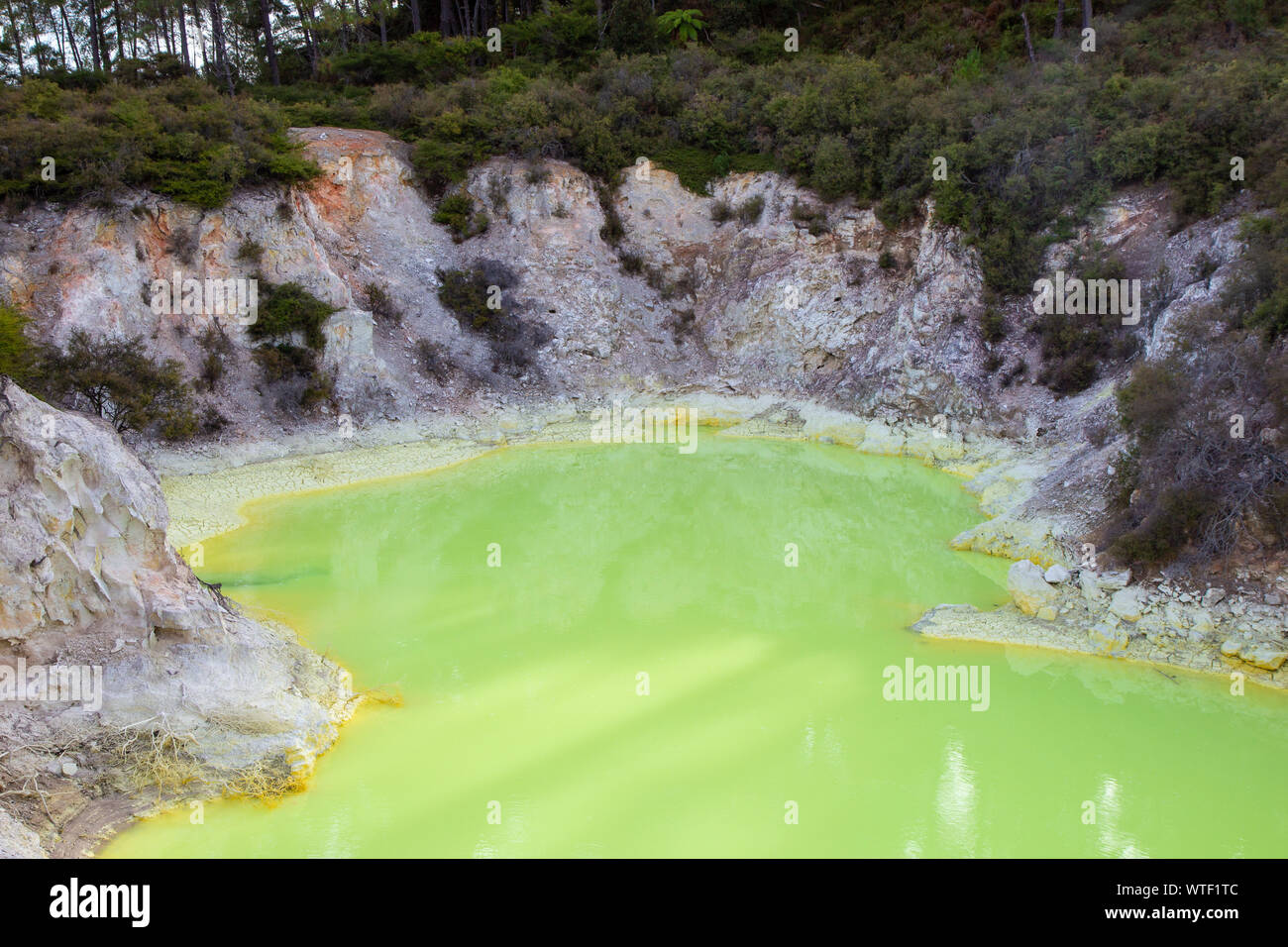 The Devil's Bath at Wai-O-Tapu geothermal area Stock Photo - Alamy