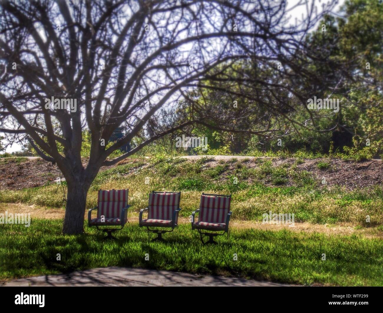 Empty landscape tree hi-res stock photography and images - Alamy