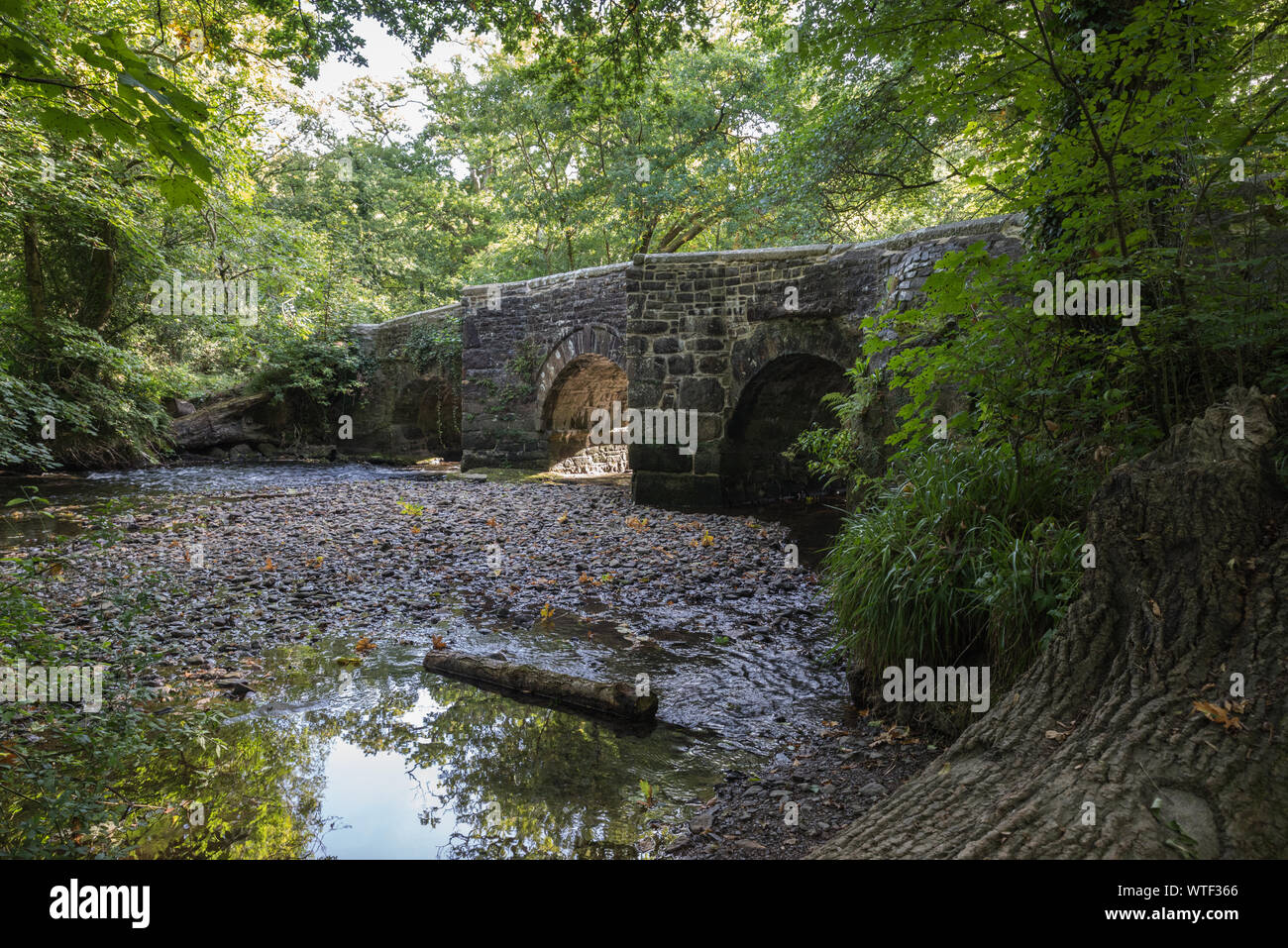 Pillaton High Resolution Stock Photography and Images - Alamy