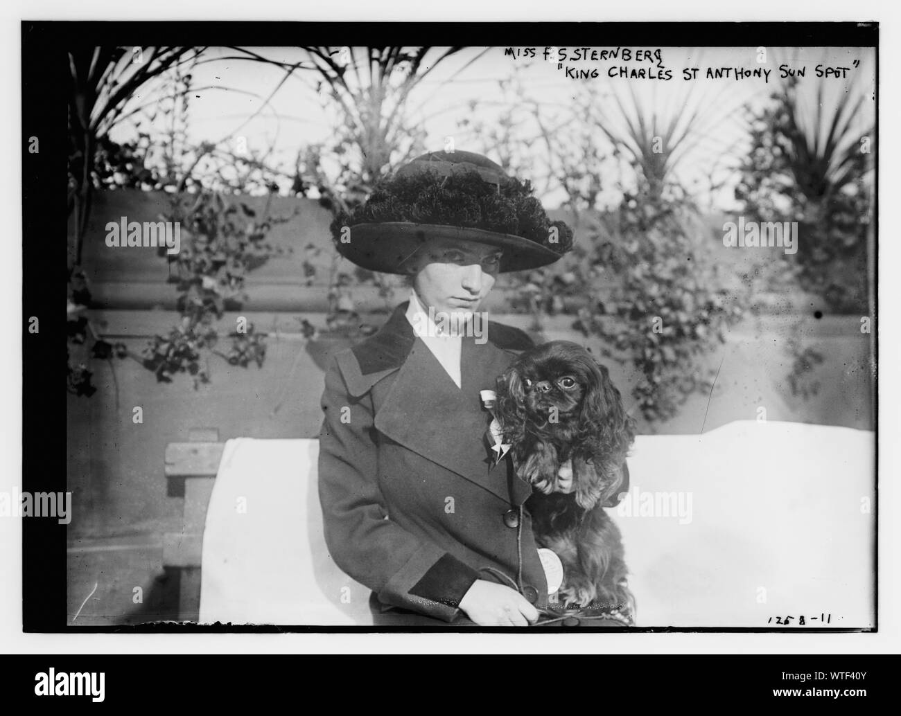 Sun king image Black and White Stock Photos & Images - Alamy