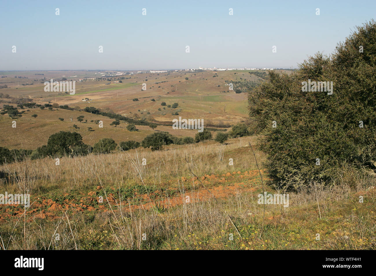 Rolling plains of the Alentejo region Portugal Stock Photo - Alamy