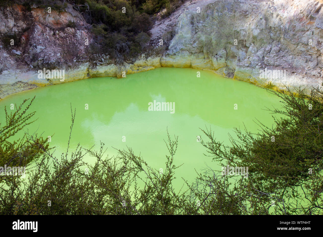 The Devil's Bath at Wai-O-Tapu geothermal area Stock Photo - Alamy