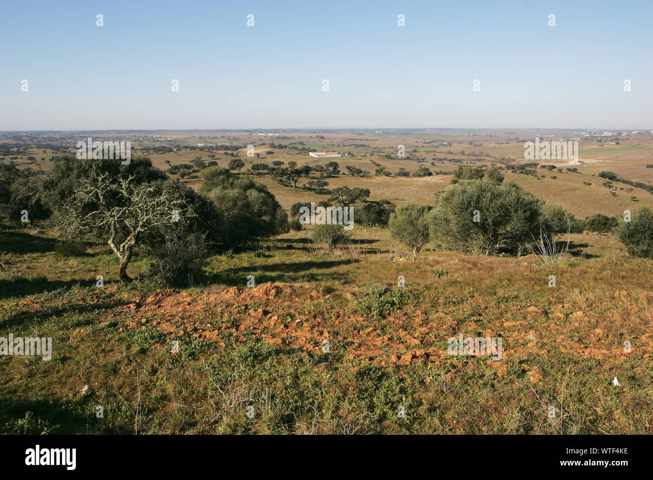 Rolling plains hi-res stock photography and images - Alamy