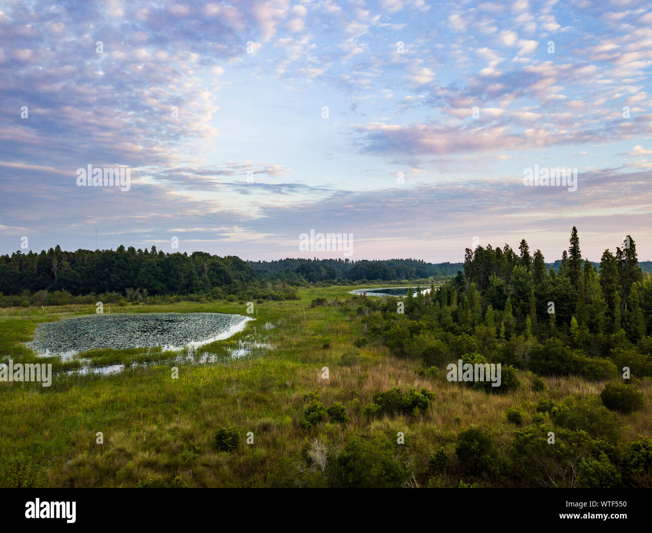 Aerial view of wetlands, ponds, and forest habitat near the C.W. Bill ...
