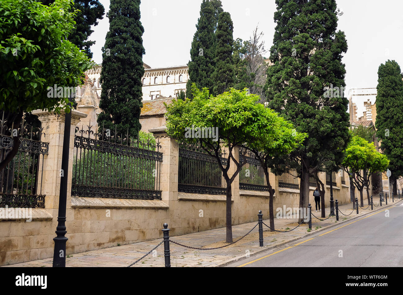 Picturesque european street with green trees and metal fence Stock ...