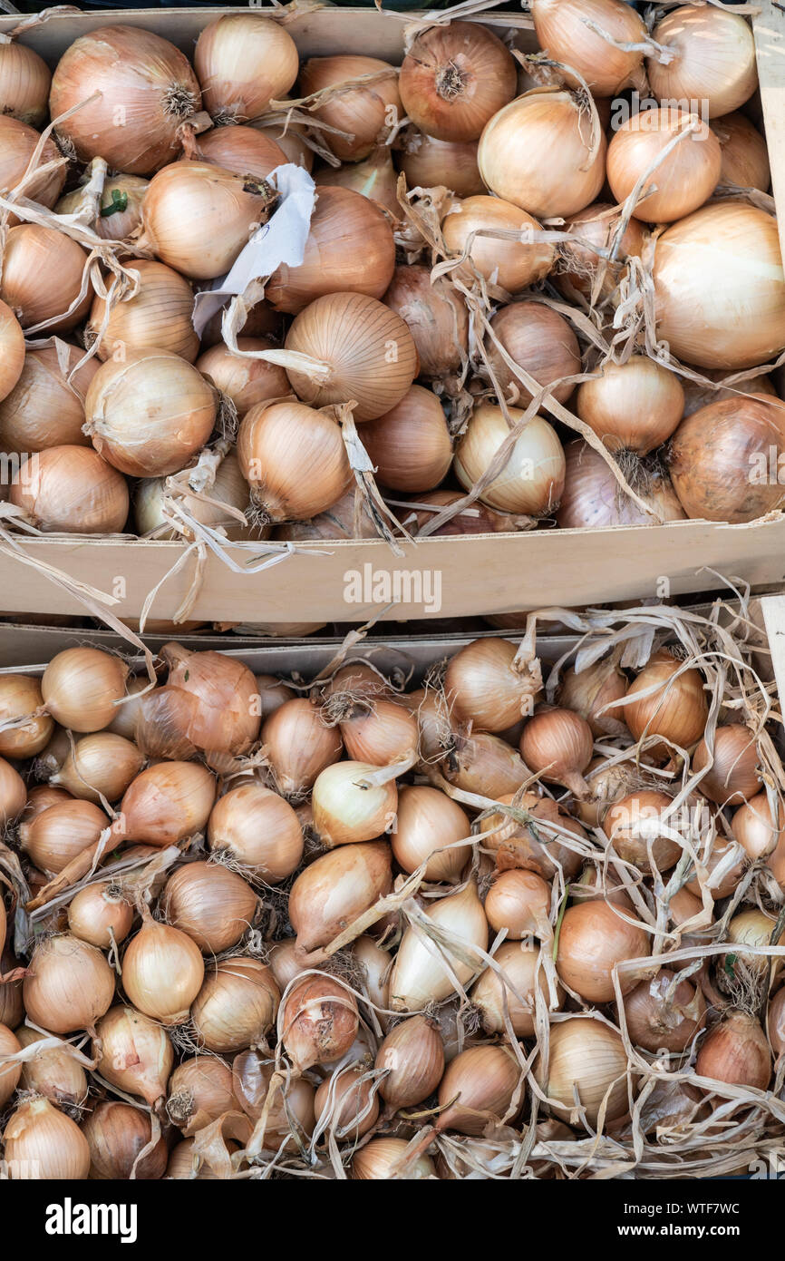 Bulb crates hi-res stock photography and images - Alamy
