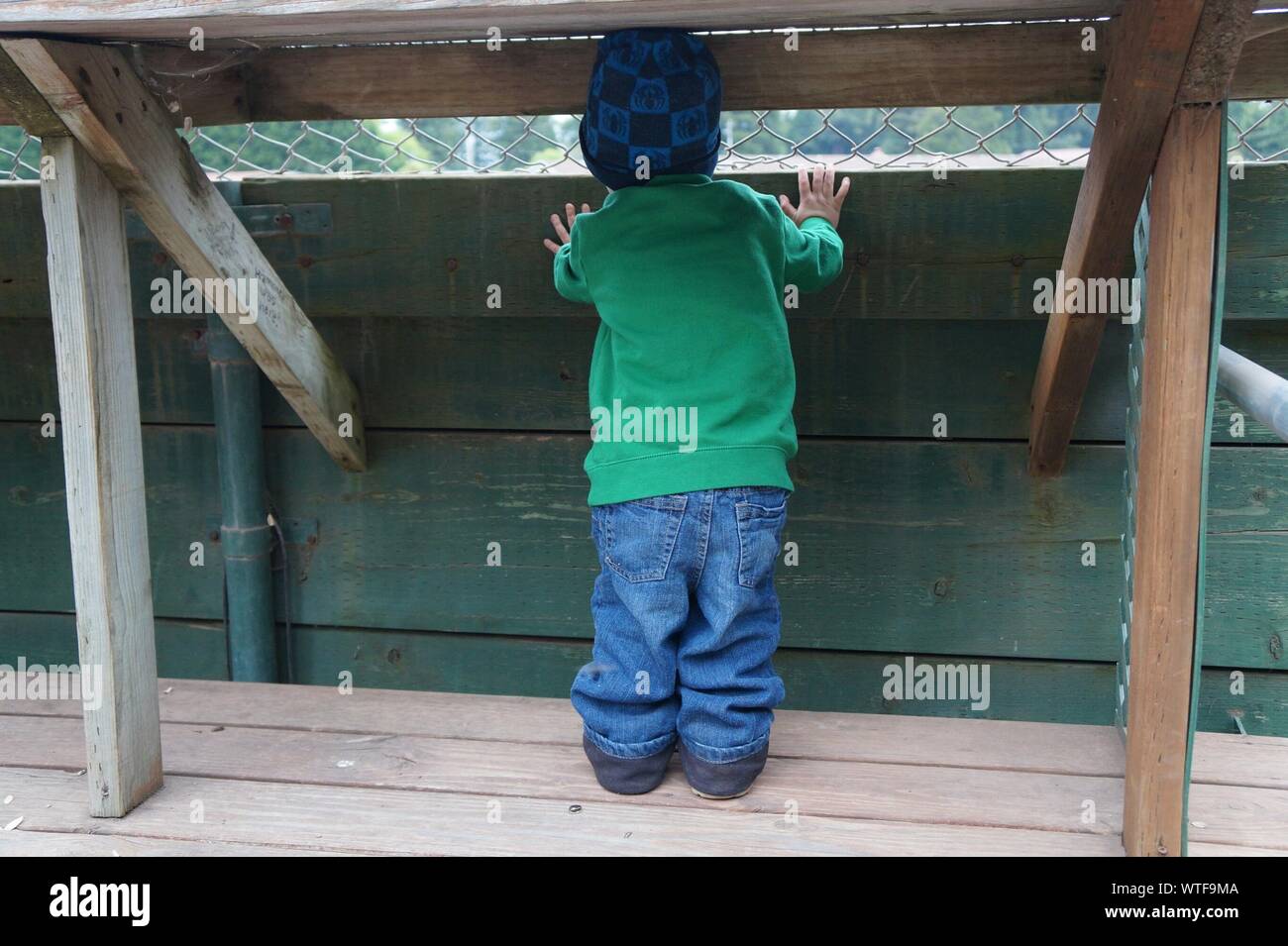 Rear View Of Baby Boy Standing On Wooden Structure Stock Photo - Alamy