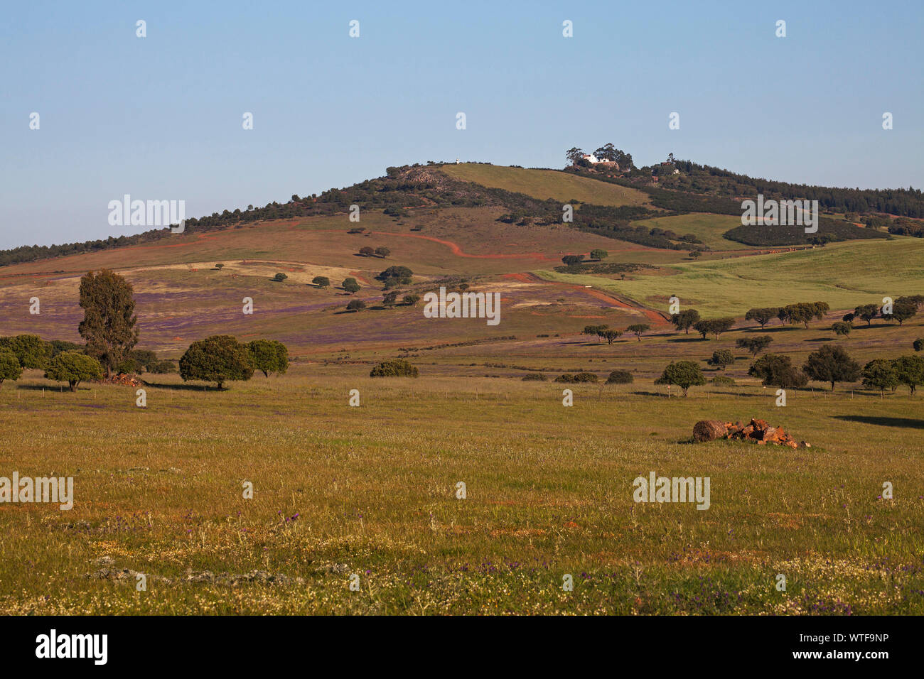 Rolling the land hi-res stock photography and images - Alamy
