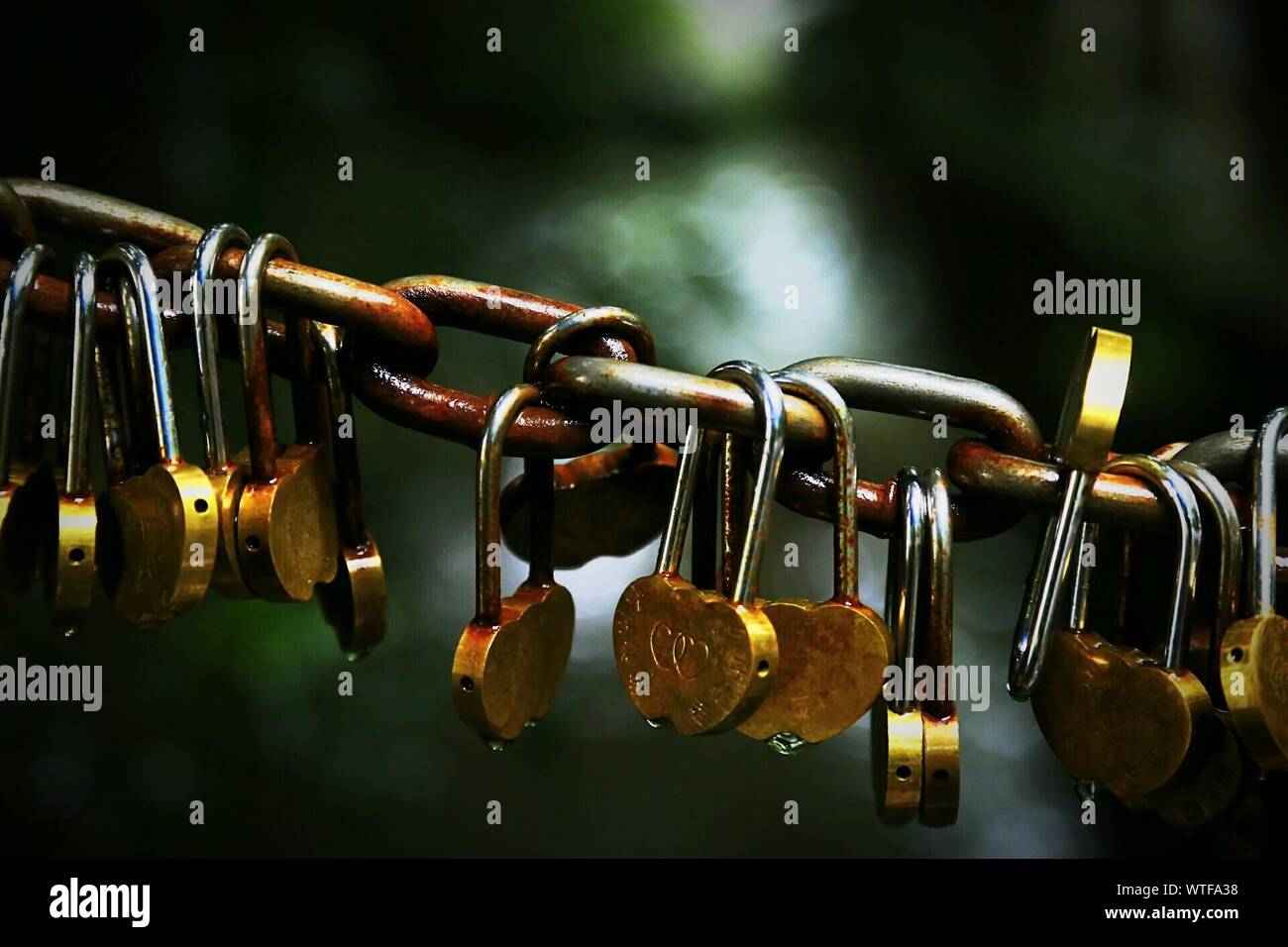 Chain with locks hi-res stock photography and images - Alamy