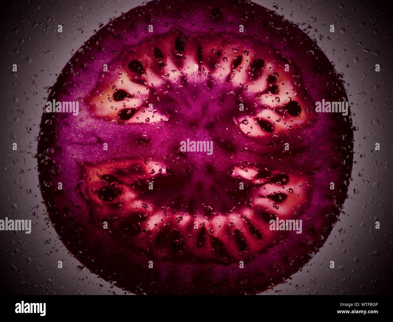 Glass Cross Section High Resolution Stock Photography and Images - Alamy