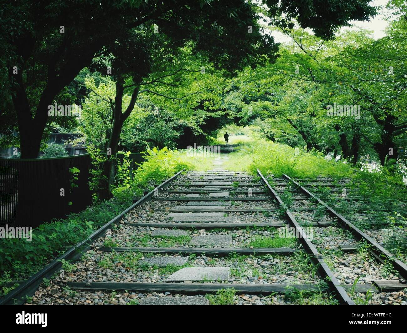 View Along Overgrown Railroad Tracks Stock Photo - Alamy