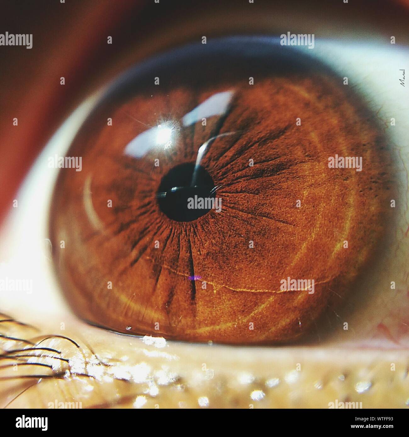 Human eyes with no reflection hi-res stock photography and images - Alamy
