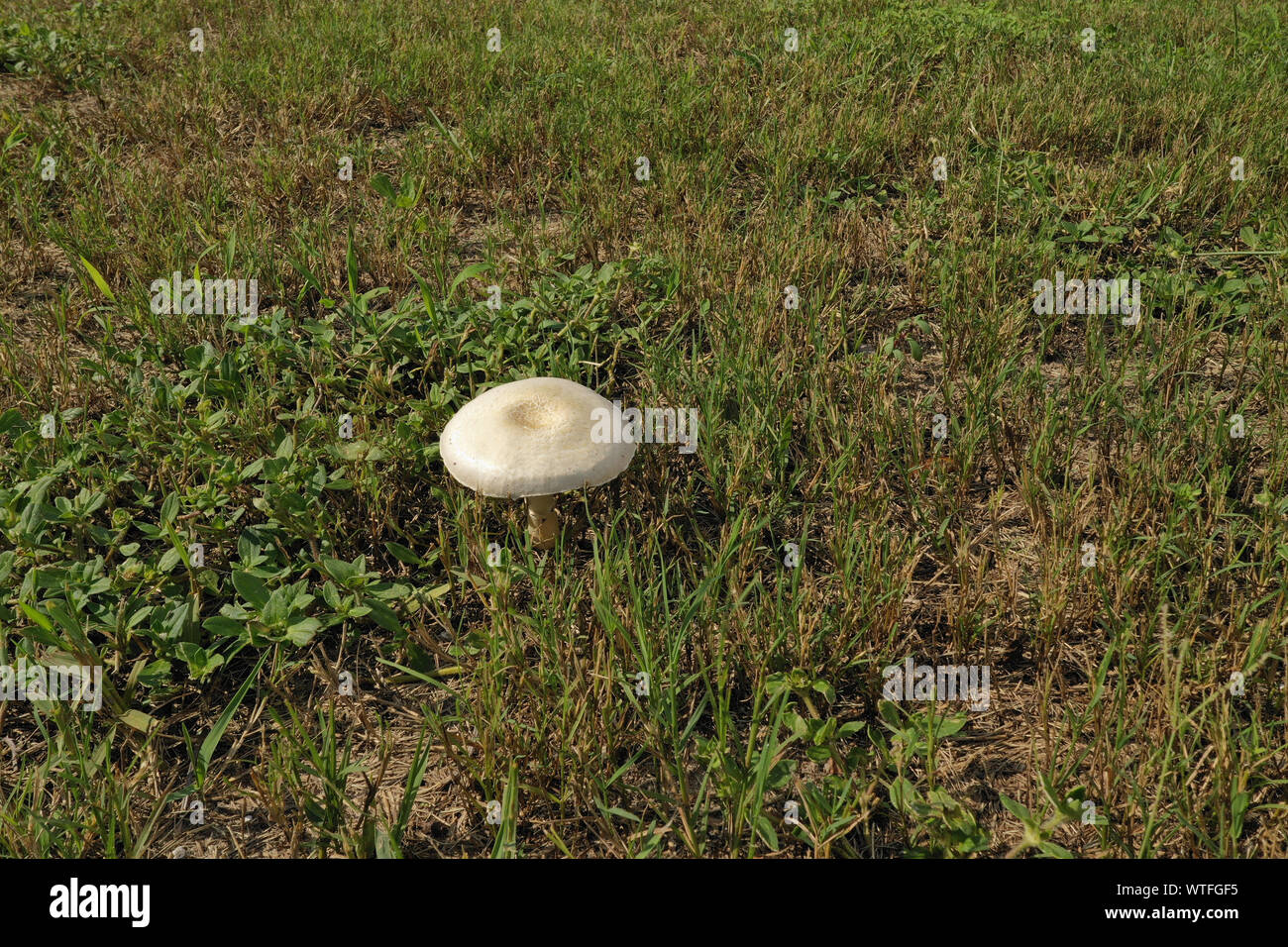 Harbor ecosystems hi-res stock photography and images - Alamy
