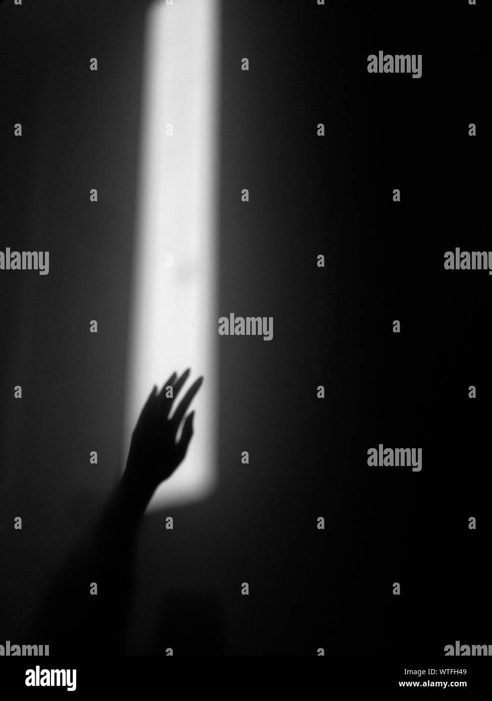 Person persons shadow hi-res stock photography and images - Alamy