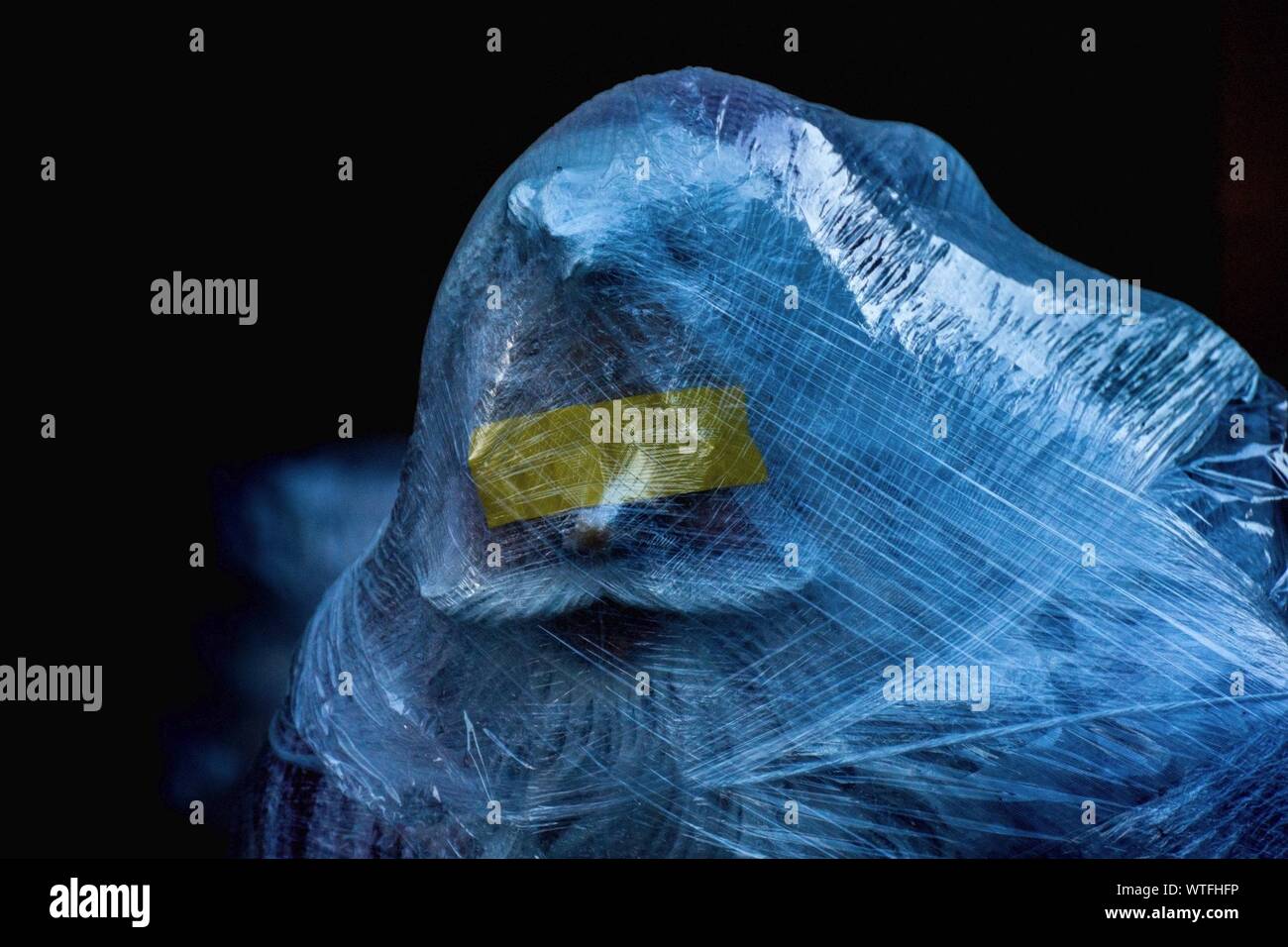 Cellophane art hi-res stock photography and images - Alamy