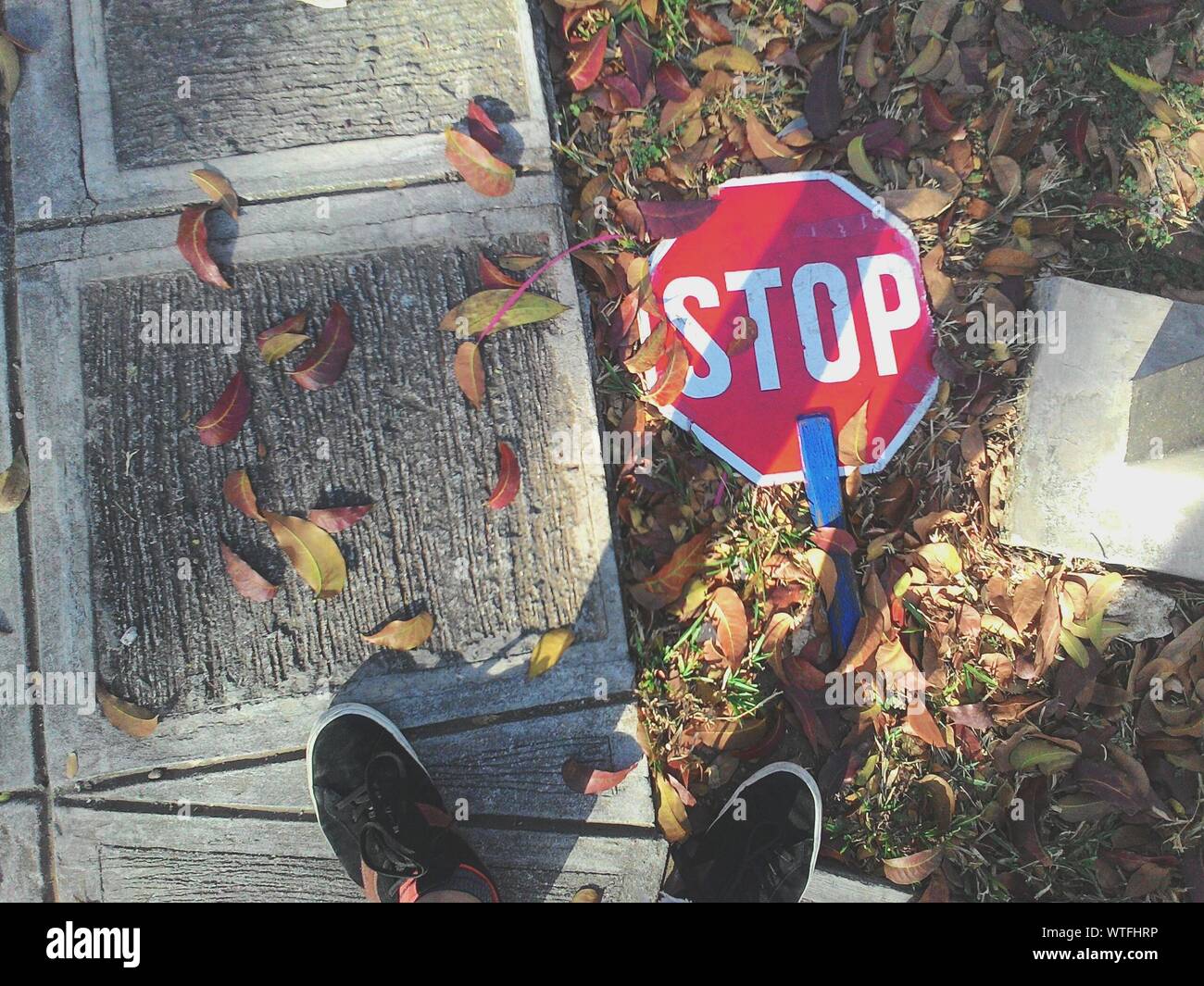 Stop sign on abandoned road hi-res stock photography and images - Alamy
