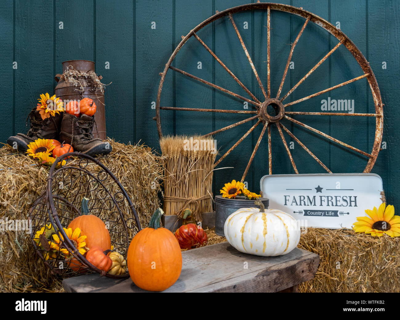 Fall fair set up at London Ontario Western fair 2019 Stock Photo - Alamy