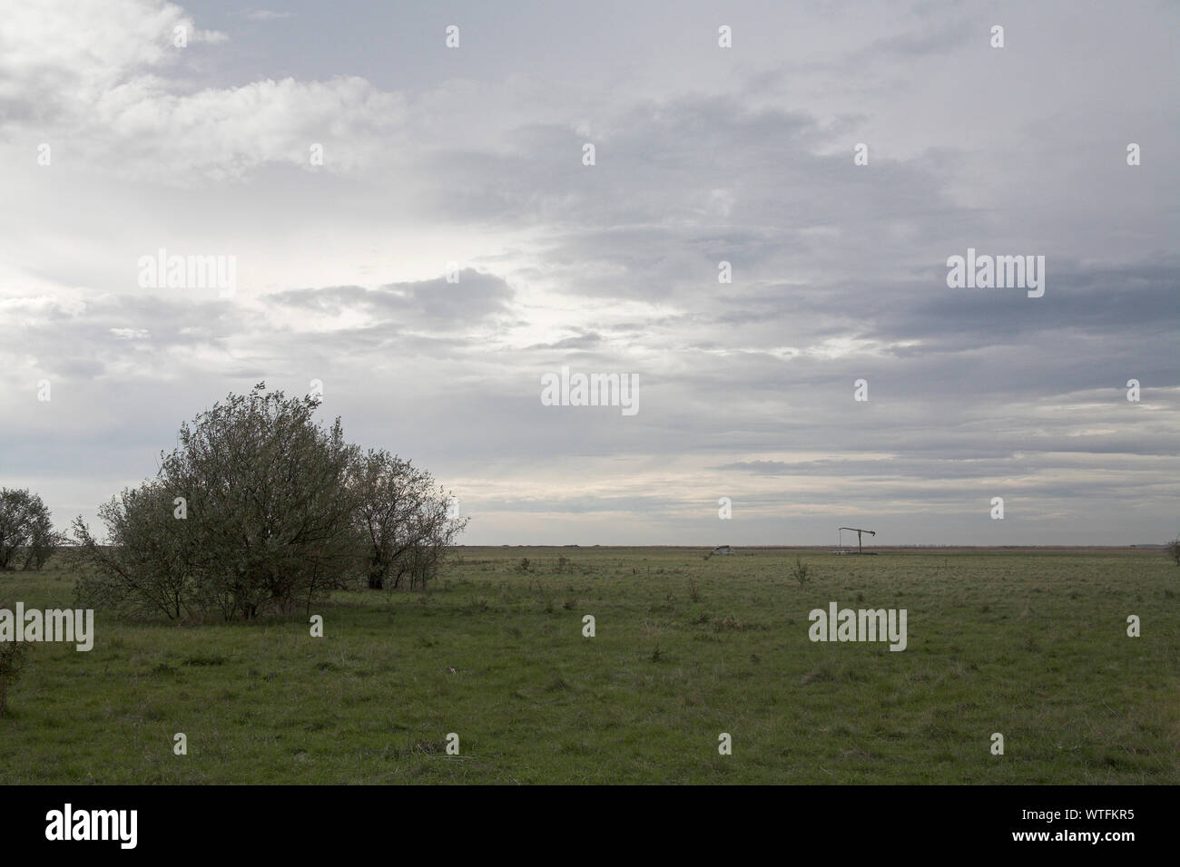 Grassland on the puszta plains of Hortobagy National Park Hungary Stock ...