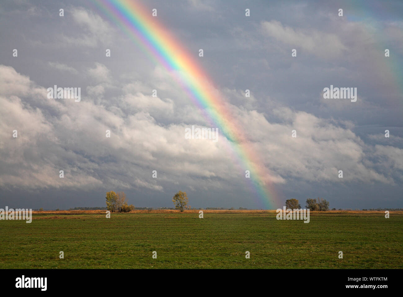 Grassland on the puszta plains of Hortobagy National Park Hungary Stock ...