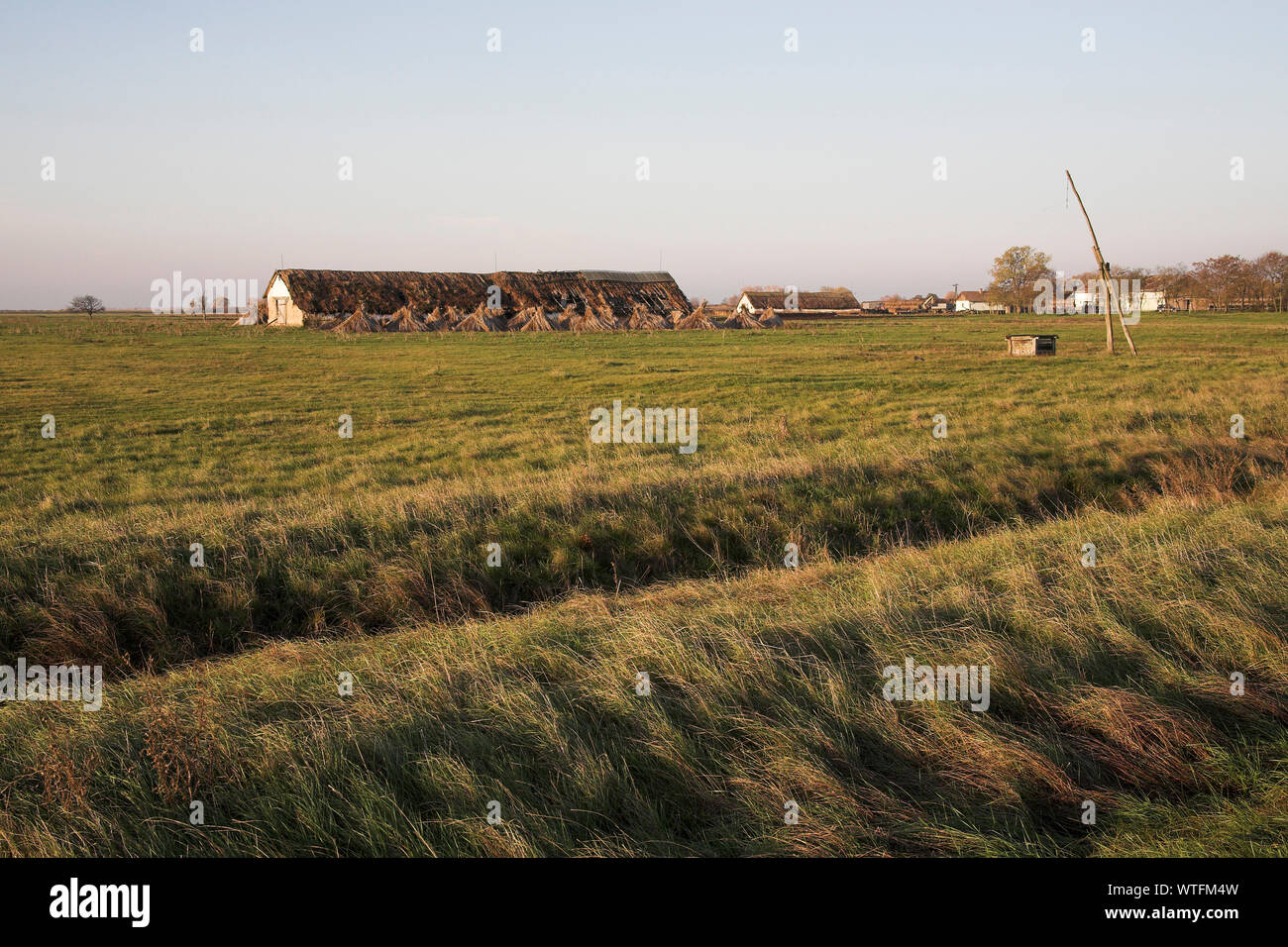 Traditional farm buildings on the grassy puszta plains of the Hortobagy ...