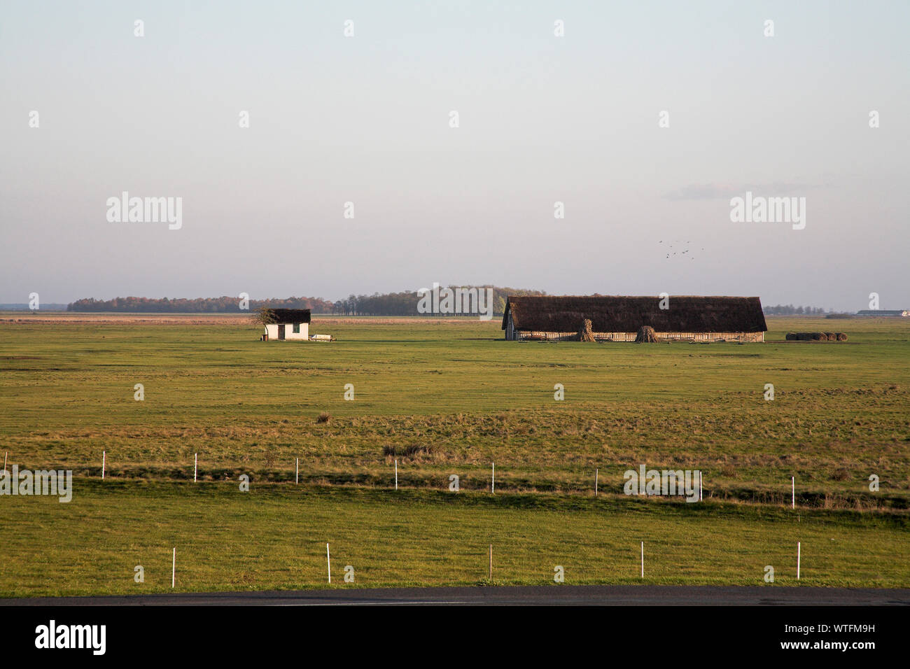 Traditional farm buildings on the grassy puszta plains of the Hortobagy ...