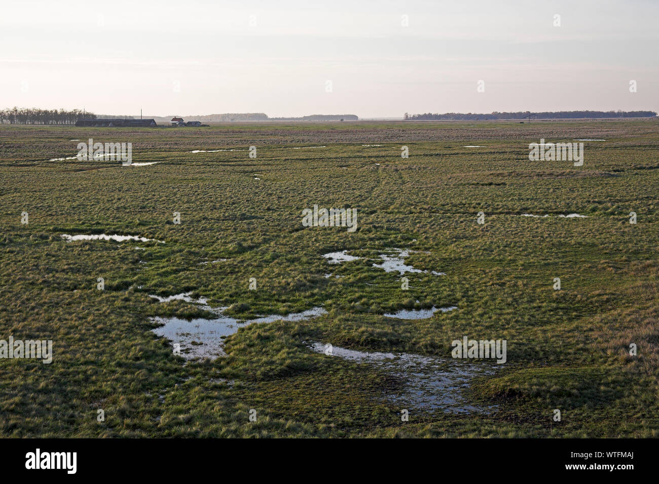Grassy puszta plains of the Hortobagy National Park north of Hortobagyi ...