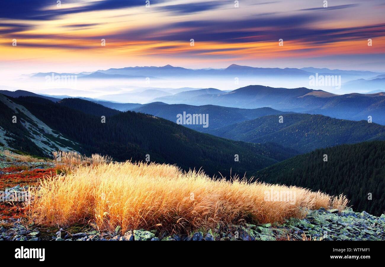 Grass cliff hi-res stock photography and images - Alamy