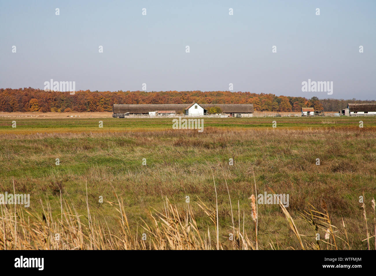 Traditional farm buildings on the plains of the puszta grasslands near ...