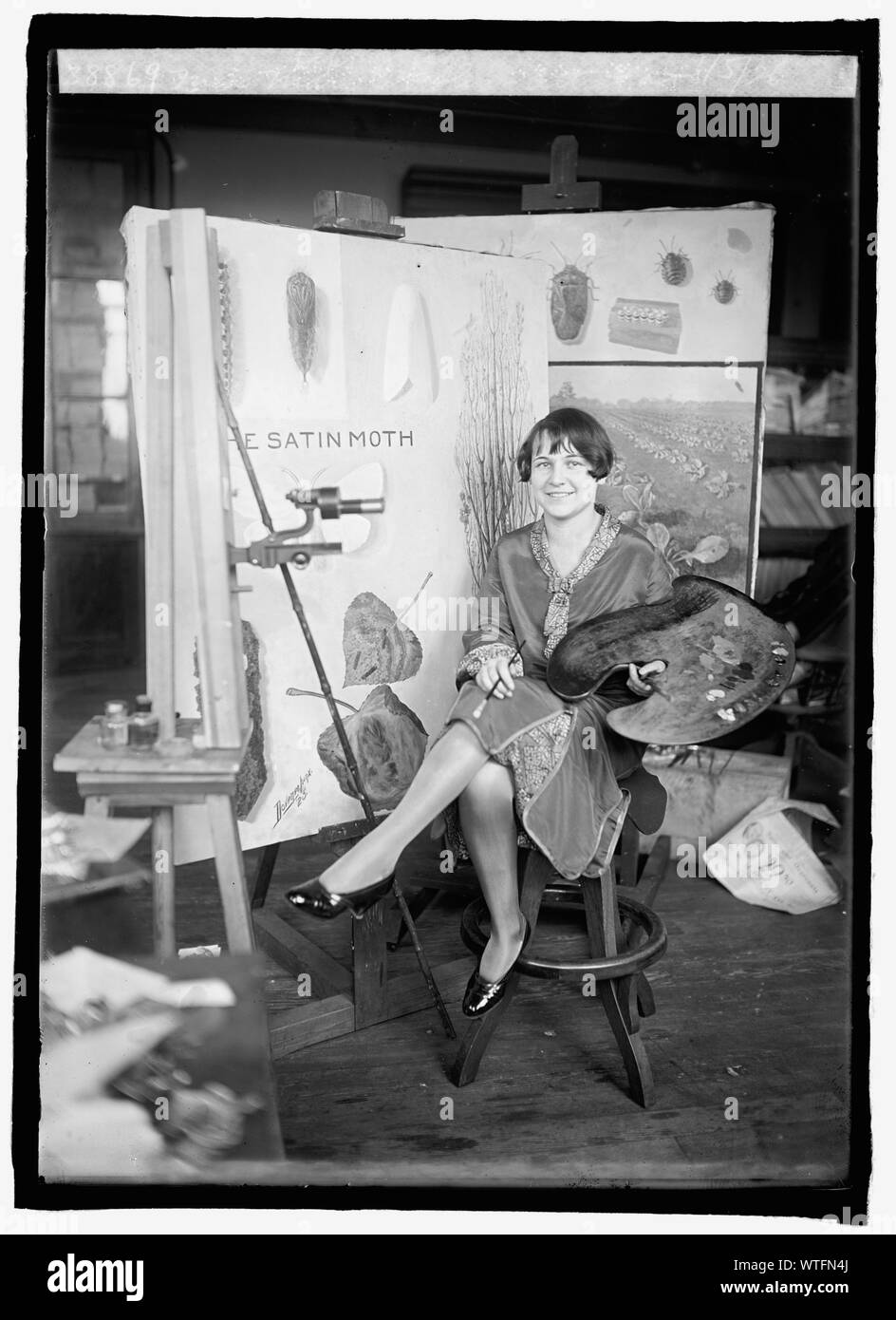 Ag 1 Cut Out Stock Images & Pictures - Alamy