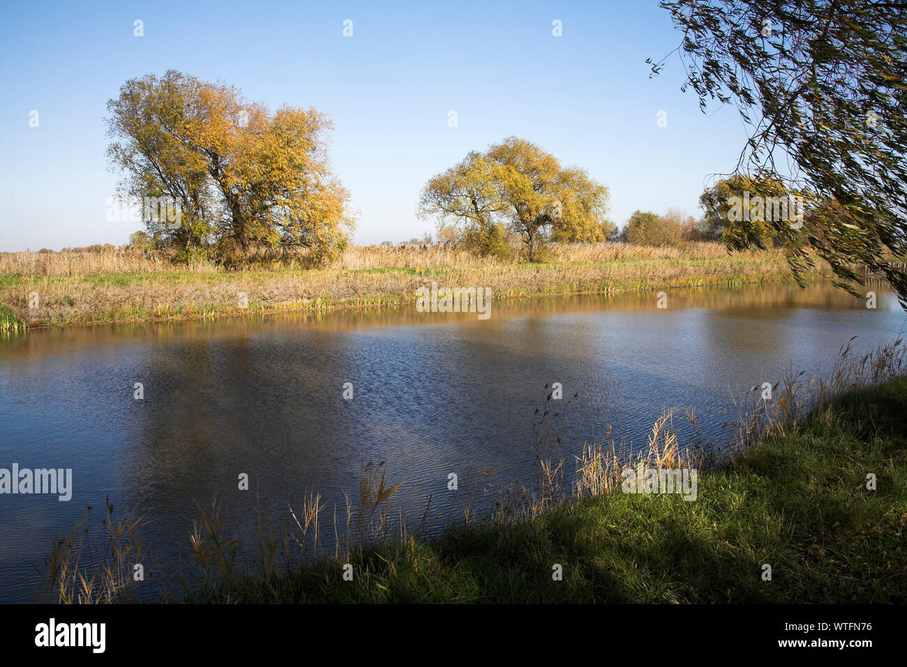 Fish rearing ponds at Hortobagyi-halasto Hortobagy National Park ...