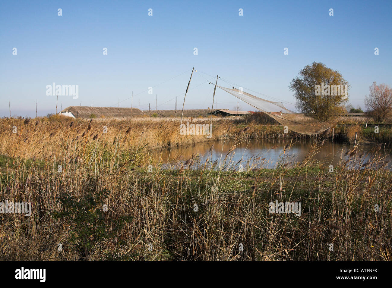 Fish rearing ponds at Hortobagyi-halasto Hortobagy National Park ...