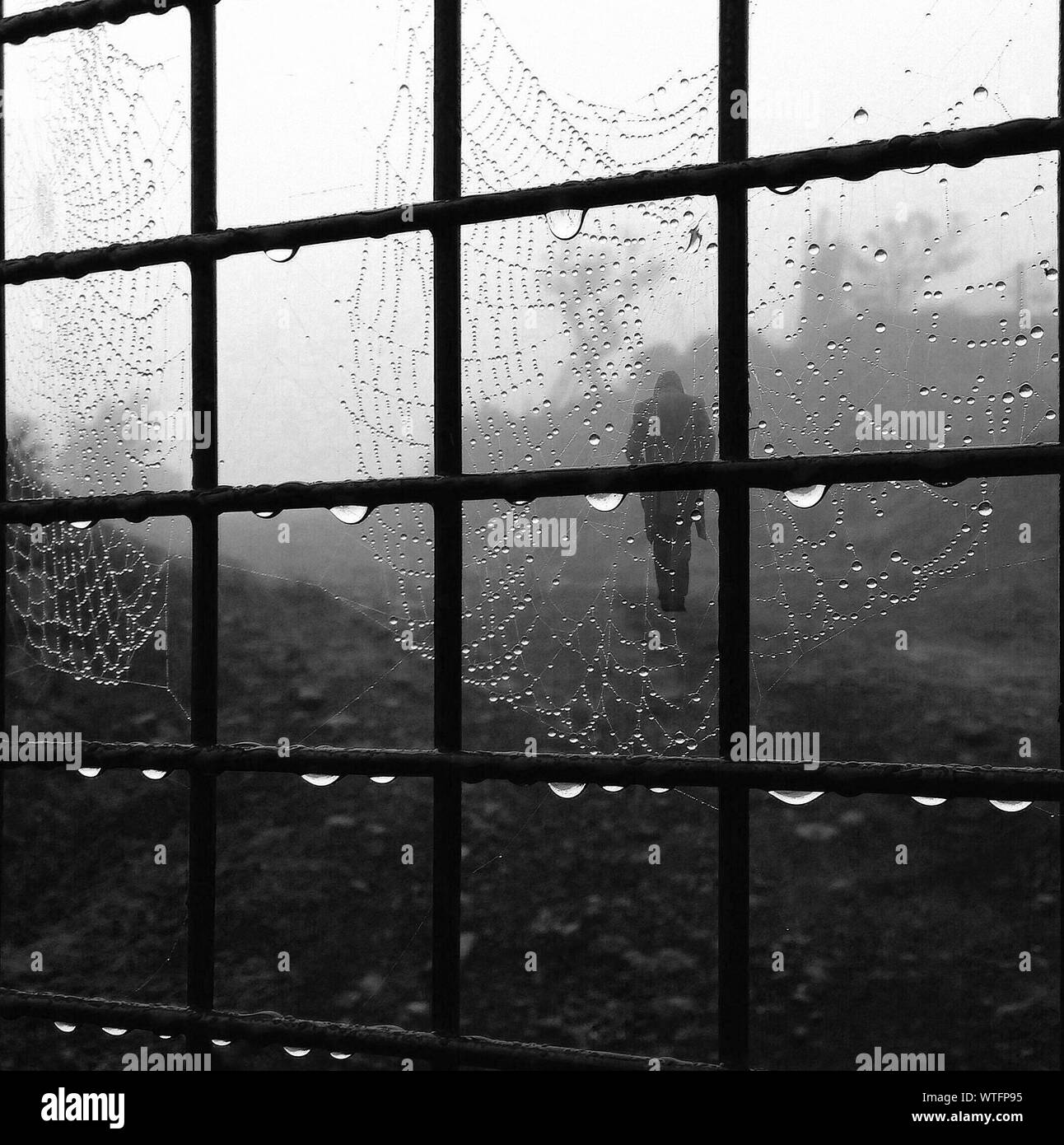 Spider Window Black and White Stock Photos & Images - Alamy