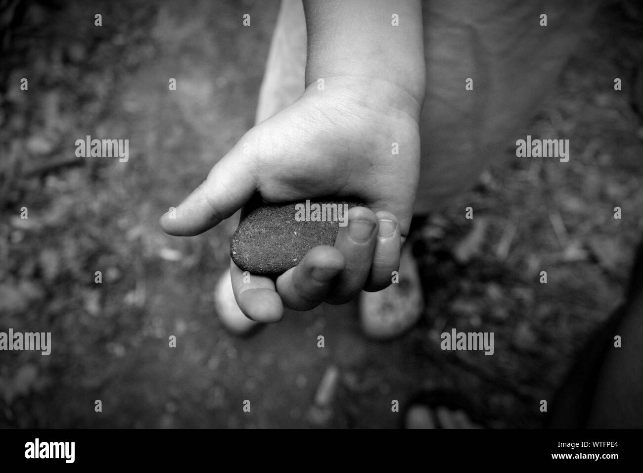 Pebble field hi-res stock photography and images - Alamy