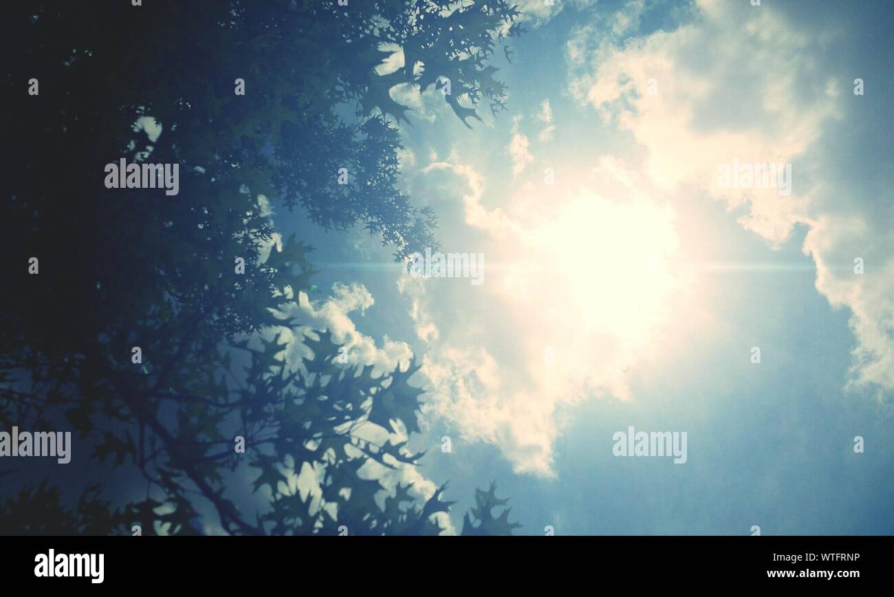 Directly sun hi-res stock photography and images - Alamy