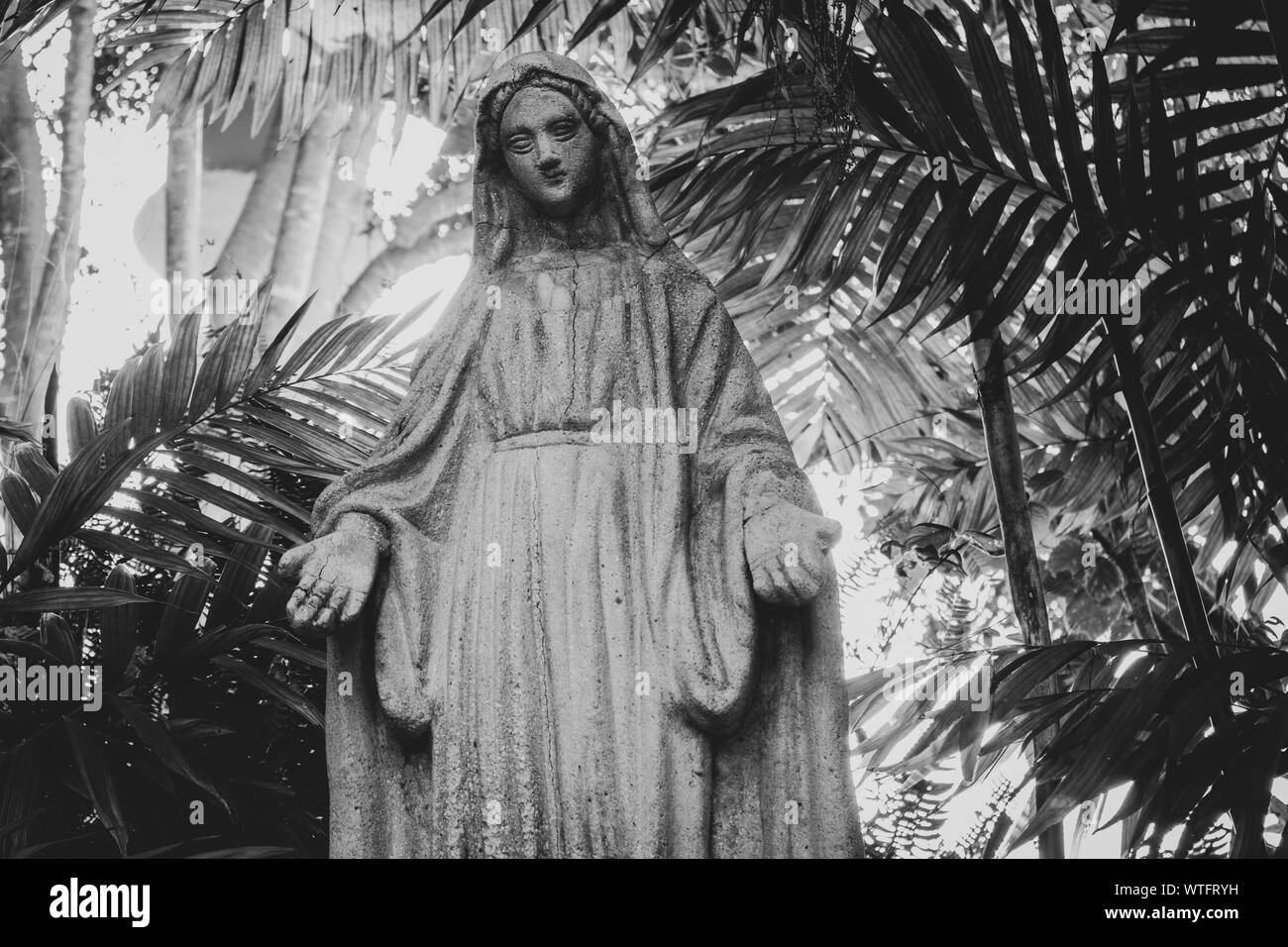 La virgin Black and White Stock Photos & Images - Alamy