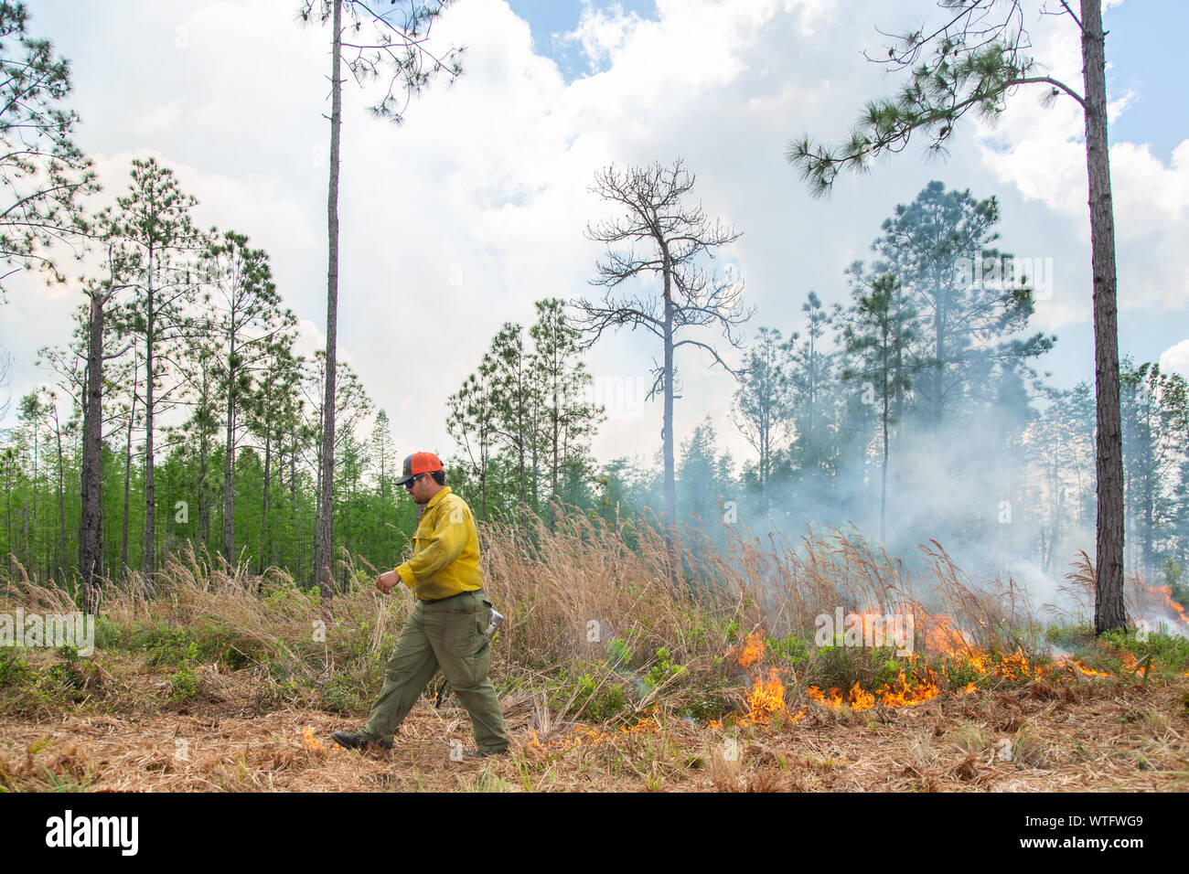 Prescribed burn to restore ecosystem health at the Old Florida ...