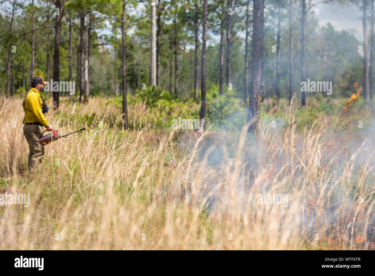 Prescribed burn to restore ecosystem health at the Old Florida ...