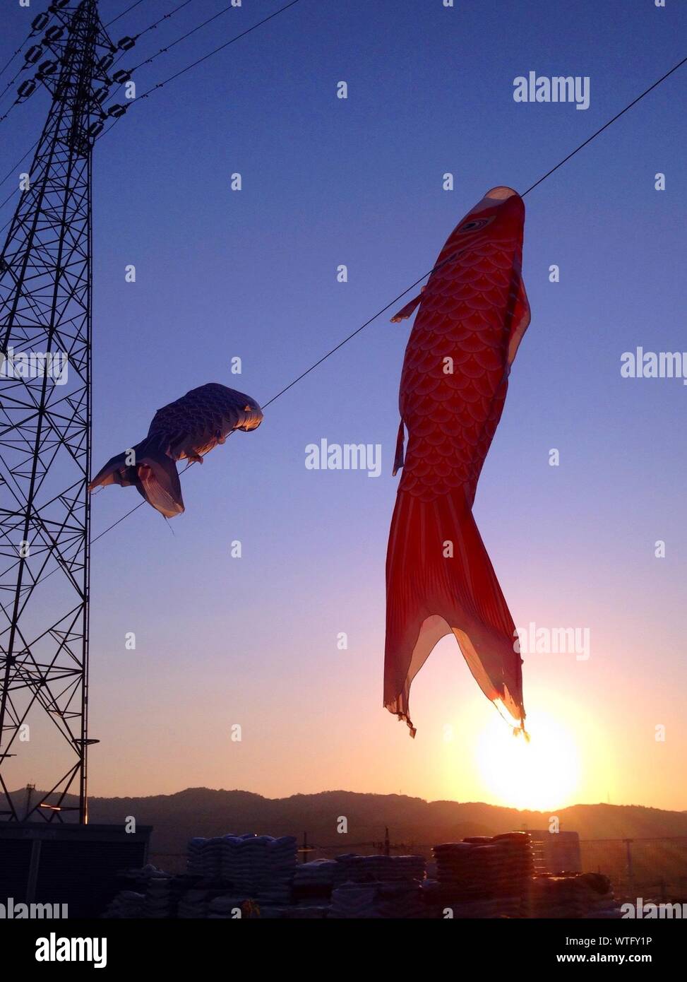 Electricity cable kite hi-res stock photography and images - Alamy