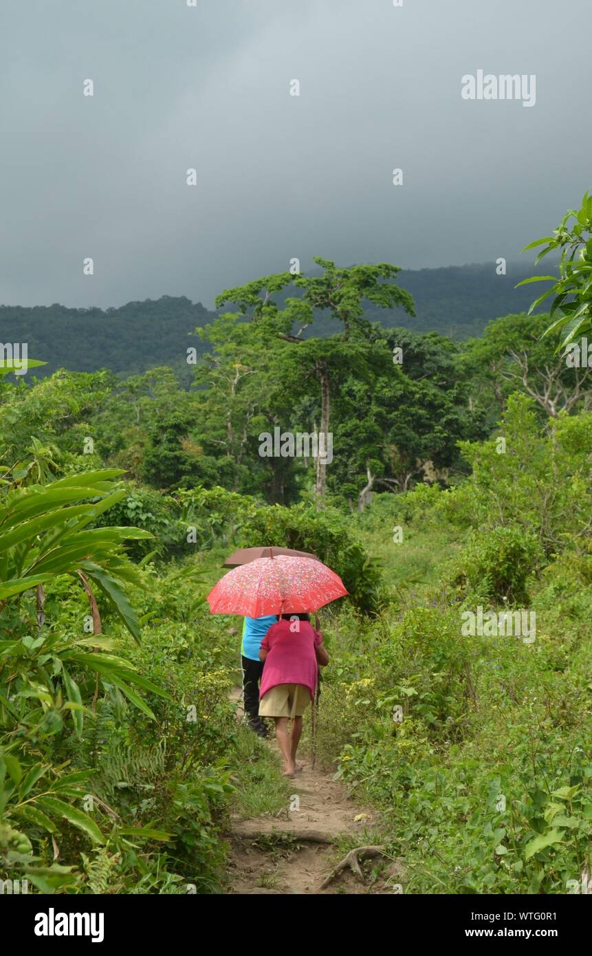 Two people walking in forest hi-res stock photography and images - Alamy